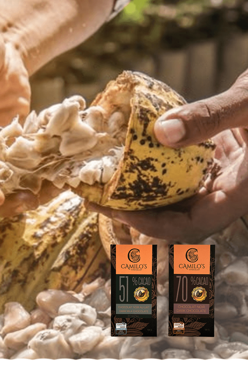 Camilo's Chocolate craft chocolate bean to bar